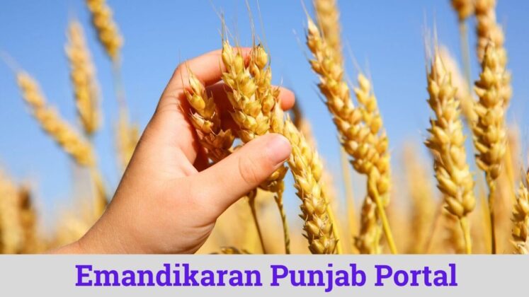 Emandikaran Punjab | J Form download Punjab & Registration & Login ...